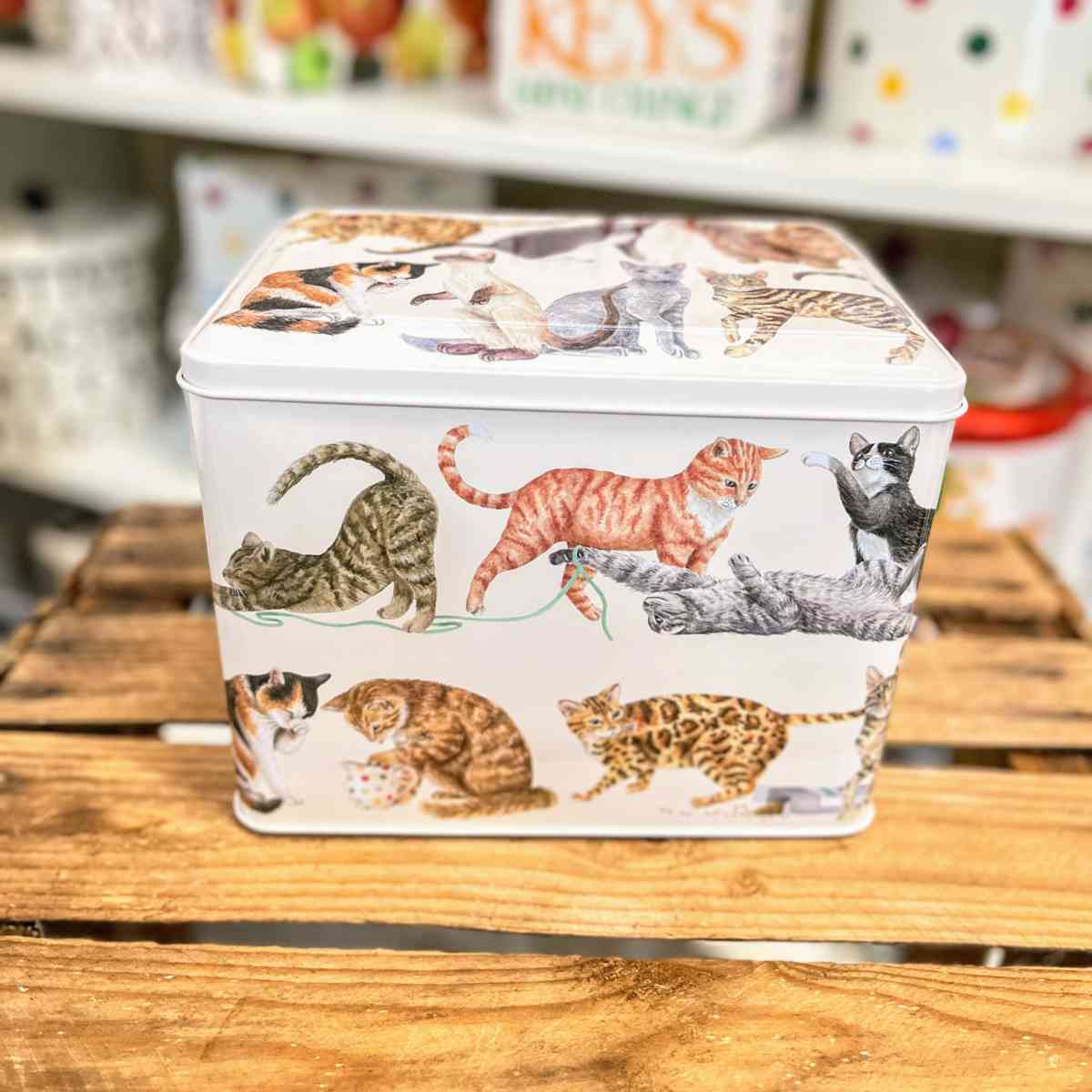 Emma Bridgewater Large Rectangular Cat Caddy - Cooking Kneads