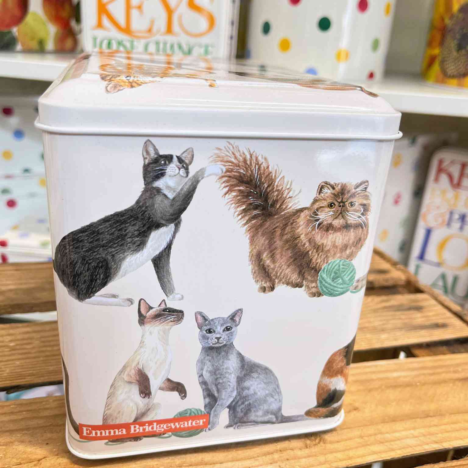 Emma Bridgewater Large Rectangular Cat Caddy - Cooking Kneads