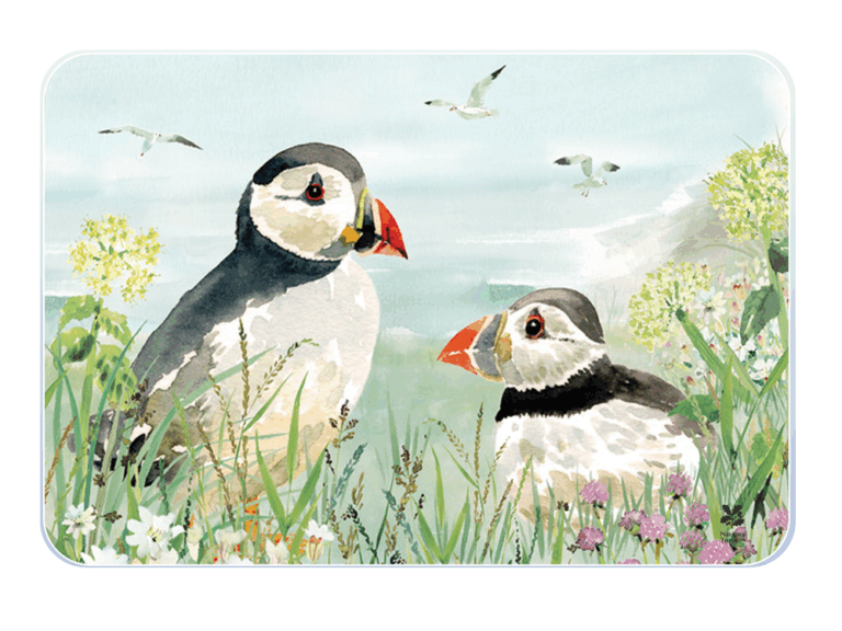 National Trust Puffin Medium Glass Worktop Protector – Cooking Kneads